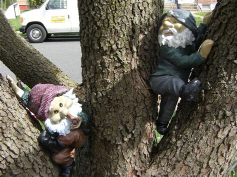 Tree Gnomes By Kashana On DeviantArt