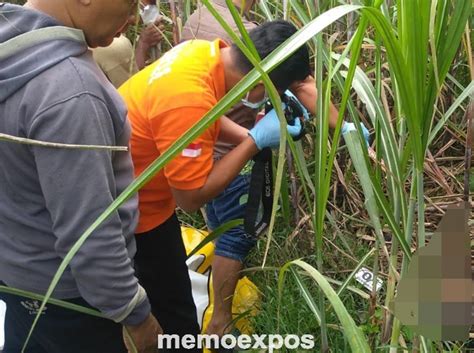 Geger Penemuan Mayat Wanita Tanpa Busana Di Tengah Sawah Memoexpos Co