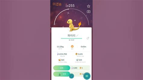 포켓몬고 57 귀여운 파이리 이로치 잡기 ️ Youtube