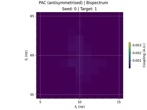 Compute Phase Amplitude Coupling PyBispectra 1 2 1 Documentation
