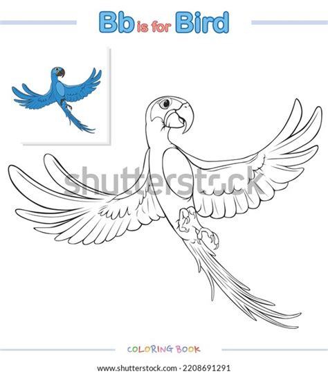 22 Budgie Coloring Pages SurashKalisha