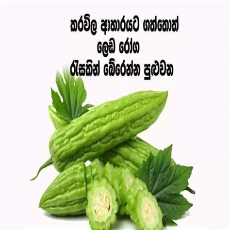 මීටරේ Meetare කරවිල වල ඇති මේ ගුණ ගැන ඔබ මින් පෙර දැන Facebook