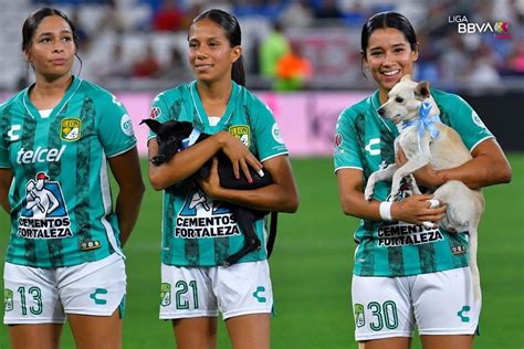 El gesto de jugadoras de la Liga MX Femenil para incentivar la adopción de perros y gatos Infobae
