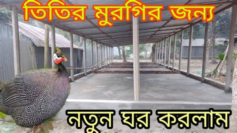 তিতির মুরগি জন্য নতুন ঘর তৈরি করলাম যে প্লানে তৈরি করলাম দেখুন একবার