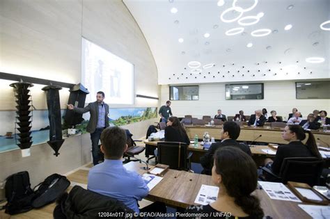 Phytosanitary Systems International Plant Protection Convention