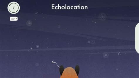 Mammals By Tinybop App Review Common Sense Media