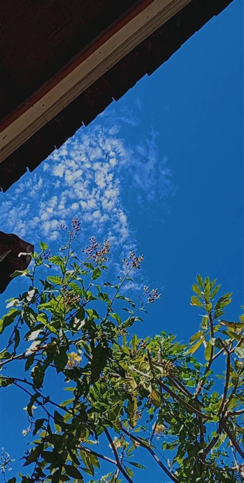 Download Gambar Langit Indah Boris Short