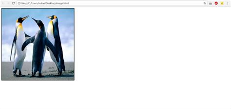 Image Tag In HTML Computer Hindi Notes
