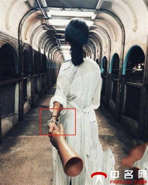 邓伦金晨恋情回顾 看两人从相爱到互撕 中名网