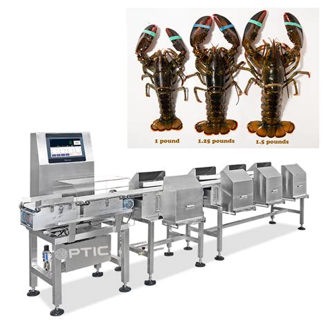 Whole Chicken Lobster Grading Machine Processing Machine Lobster Fish