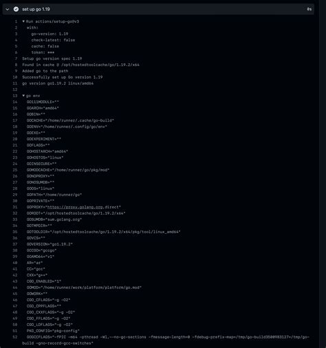 Specifying Go Version 119 Defaults To 1192 As Opposed To The Actual