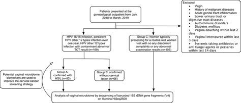 Consort Flow Diagram Of The Study Hpv Human Papilloma Virus Hsil