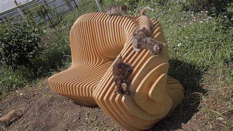 Making A Parametric Bench Garden Design Cats Vmumok Film Victor Meshkov