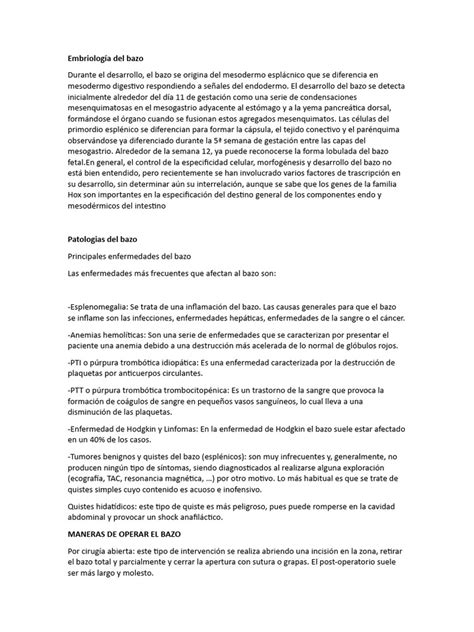 Embriología Y Patologias Del Bazo Pdf Bazo Sangre
