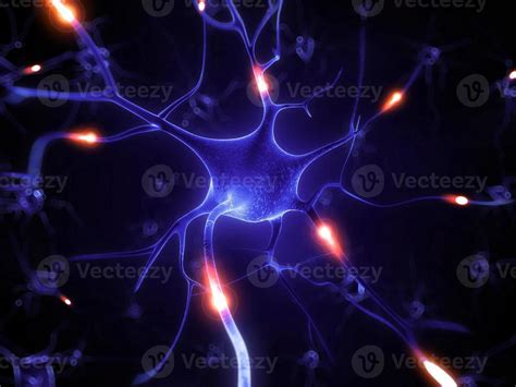 Download Active Nerve Cell Illustration For Free Artofit