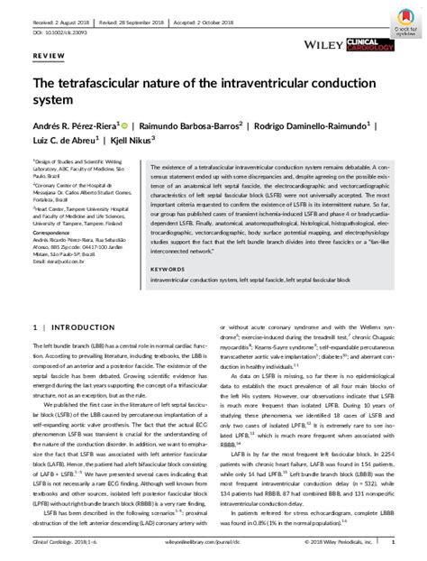 Pdf The Tetrafascicular Nature Of The Intraventricular Conduction