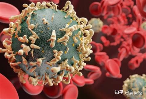 感染hpv，高危型和低危型区别有多大？早知道早受益 知乎