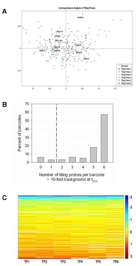 Barcode Tiling Probe Performance In Negative Selection Rnai Screens A Download Scientific