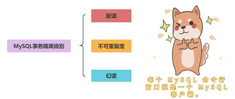 Mysql事务隔离级别模拟异常发生之脏读 【官方】百战程序员it在线教育培训机构体系课程在线学习平台