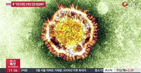 뉴스특보 보건당국 하루 반 늑장대응피해 키웠다