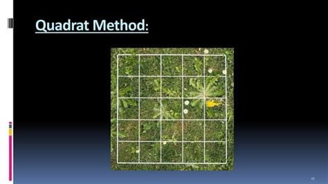 Methods Of Sampling Vegetation Pptx