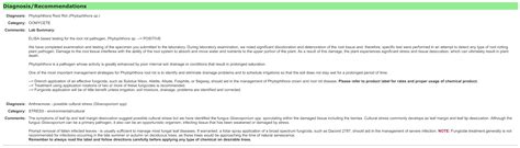 Tpddl Submission Easy Steps For A Successful Tpddl Submission