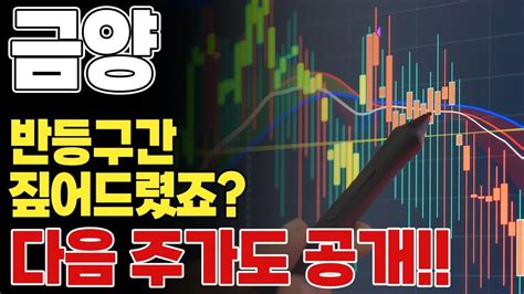 금양 주가 전망 반등구간 제가 짚어드렸죠 다음 주가도 알려드립니다 금양 금양주가 금양주가전망 Youtube