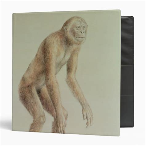 Ramapithecus 3 Ring Binder Zazzle