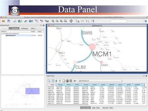 Network Visualization And Analysis With Cytoscape Ppt