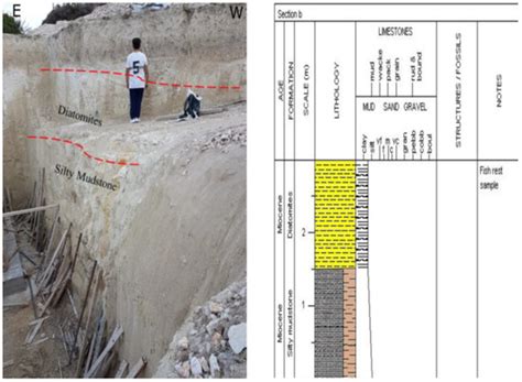 Eng Special Issue Geoenergy Science And Engineering