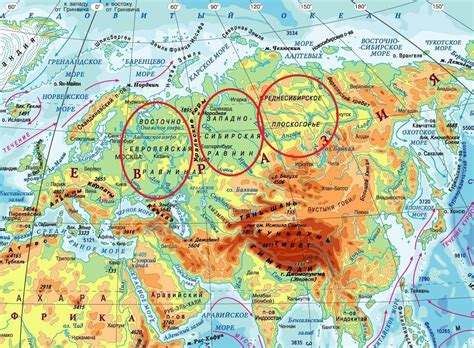 Самые большие равнины Евразии Школьные Знания Com