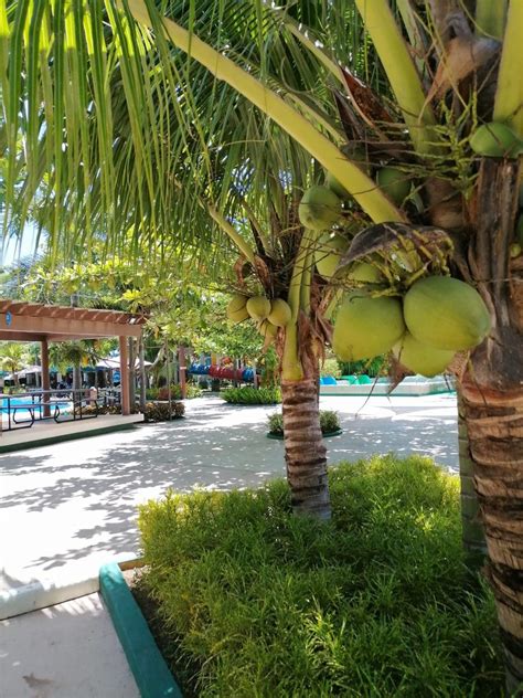 2023 Guide Seven Seas Waterpark And Resort In Cagayan De Oro