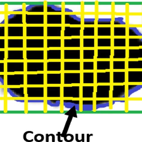 Schematic Diagram Of Contour And Grid Technique In Single Black Feature