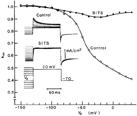 Steady State Relation Ofgk Inactivation And Voltage Before Control Download Scientific