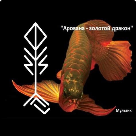 СТАВ АРОВАНА - ЗОЛОТОЙ ДРАКОН(МОГУЩЕСТВО,ФИН.БЛАГОПОЛУЧИЕ, УСПЕХ ...