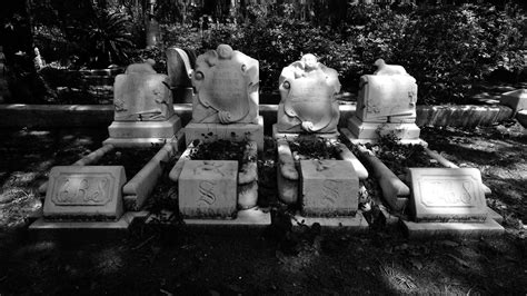 Guardians Of The Everglades Guardians Of The Everglades