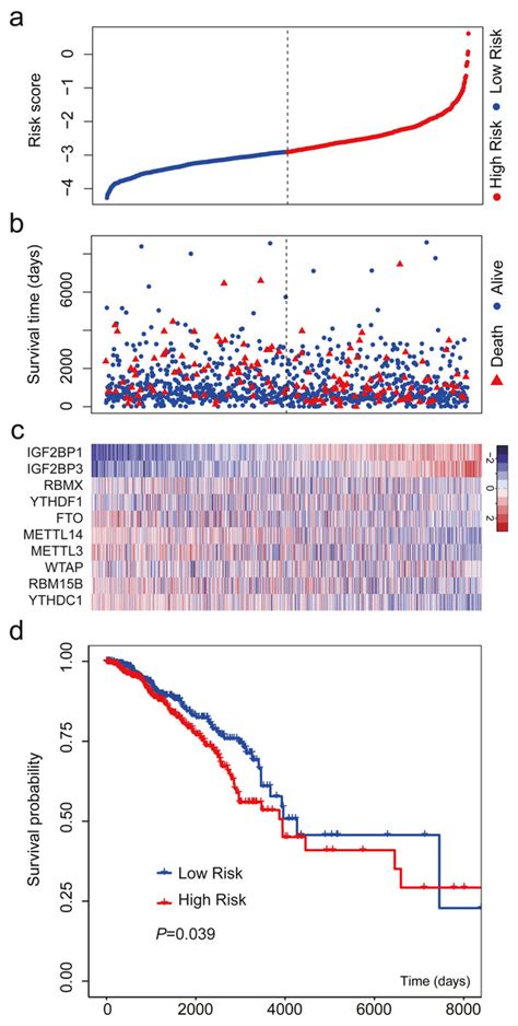 The M6a Related Gene Signature For Predicting The Prognosis Of Breast Cancer [peerj]