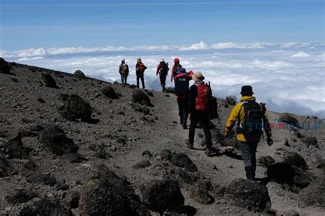 乞力马扎罗山玛查姆线（machame Route） 威士忌线 坦桑尼亚旅行网