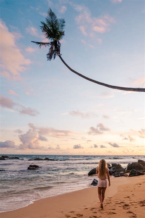 Solo Travel In Sri Lanka A Detailed Guide About My Experience As A