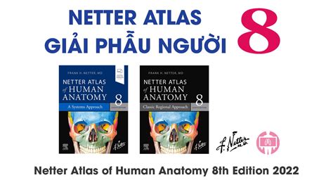 [pdf] Atlas Giải Phẫu Người Netter 8 Netter Atlas Of Human Anatomy 8th