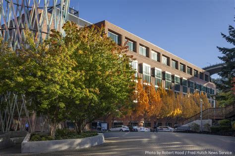 Fred Hutch On Linkedin Careers Immunotherapy Fredhutch