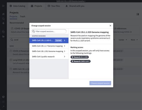 Organization Settings Configure Scoped Sessions Palantir