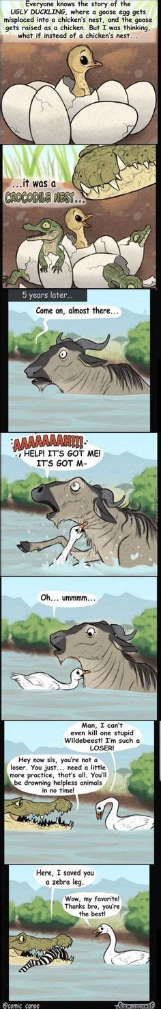 900 Grumpy Cat Ideas Grumpy Cat Grumpy Grumpy Cat Humor