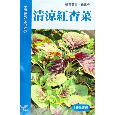 種子王國 清涼紅杏菜 紅莧菜 【蔬果種子】 蟲害少 18天可收成 栽培容易 南部全年可種 興農種苗 每包約6公克 蝦皮購物