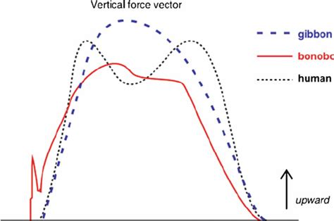 4 Graph Showing The Average Vertical Ground Reaction Force Scaled To Download Scientific