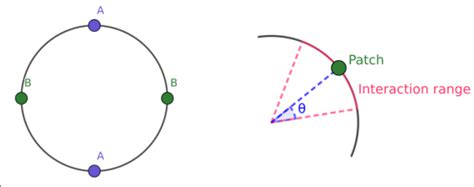 Figure 1 From Large Scale Kinetic Roughening Behavior Of Coffee Ring