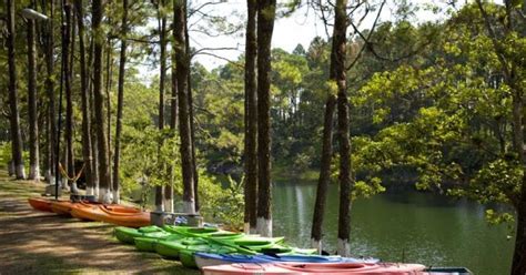 Conozca el maravilloso Parque Eco arqueológico Los Naranjos