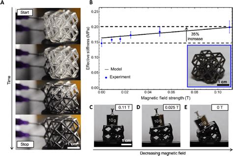 Infilling And Magnetomechanical Behavior Of Cuboctahedron Lattices A