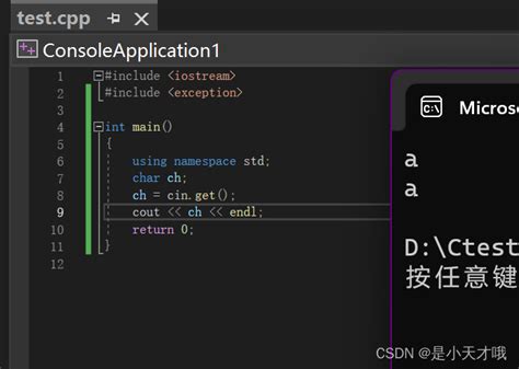 C的get和getline方法 Csdn博客