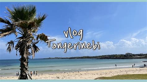 제주 여행 Vlogㅣ혼자 여행ㅣ제주도ㅣ우도ㅣ흑돼지🐷ㅣ제주 오션뷰 카페 브라운 스위트 호텔 Youtube